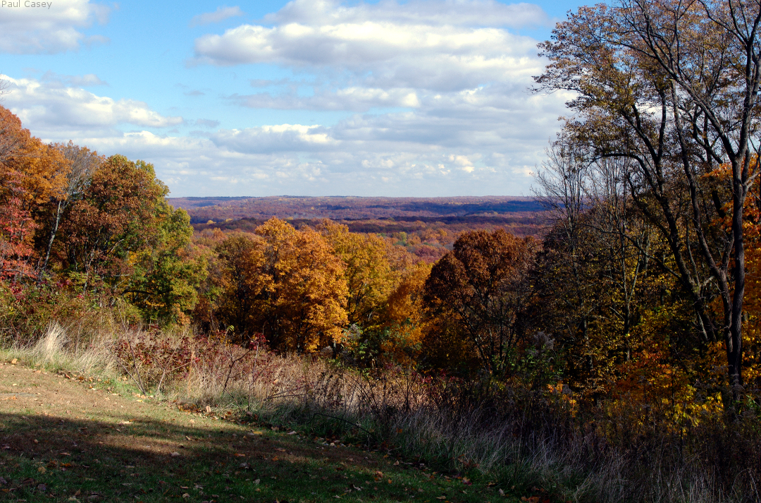 brown county state park – PictureLongmont