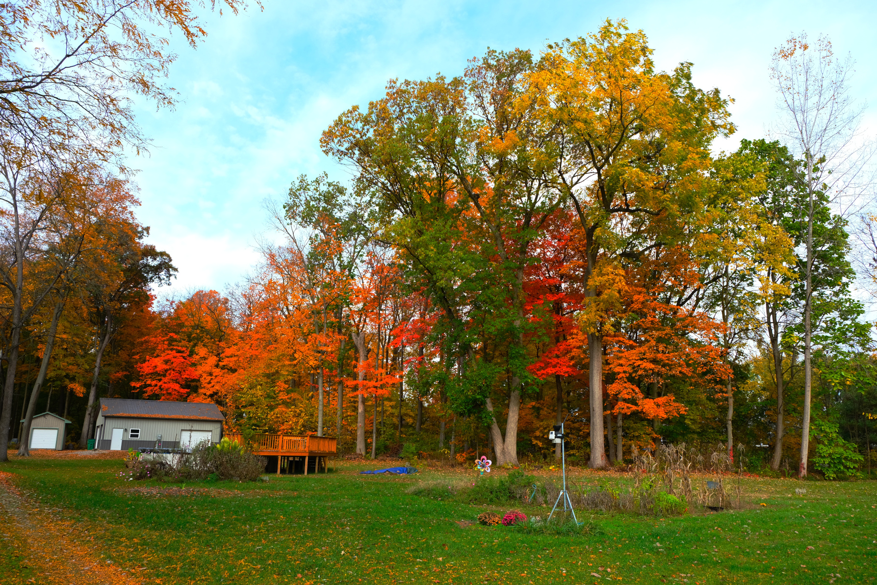 Color of fall – PictureLongmont